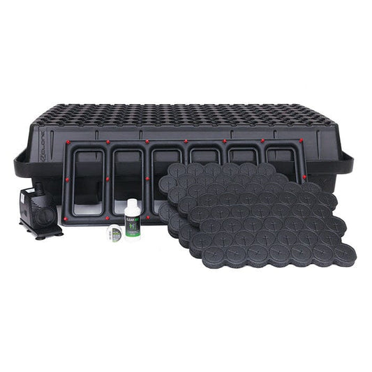 Cloning Systems: How Do They Work? | Advantages | BVV